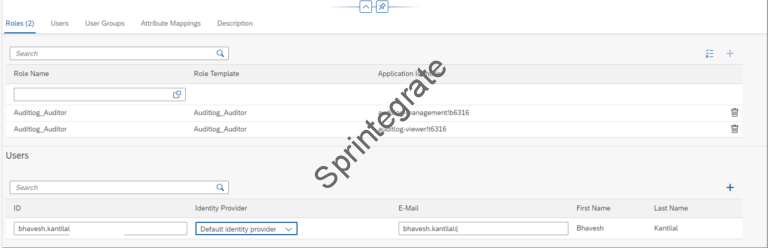 Sap Cpi Enable Audit Log Service To View User Activities Logs