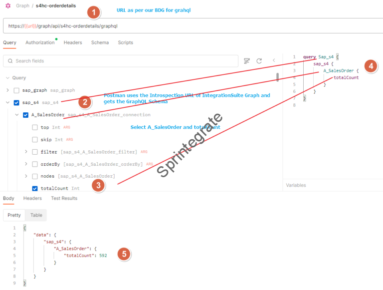 Graph on SAP Integration Suite – A Beginners Guide – Sprintegrate.com